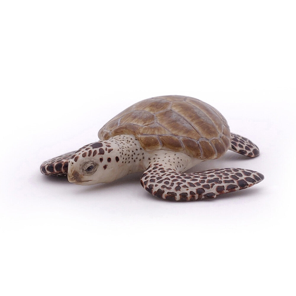 Buy Papo - Loggerhead Turtle online at DAM Toys USA – Dam Toys B2C