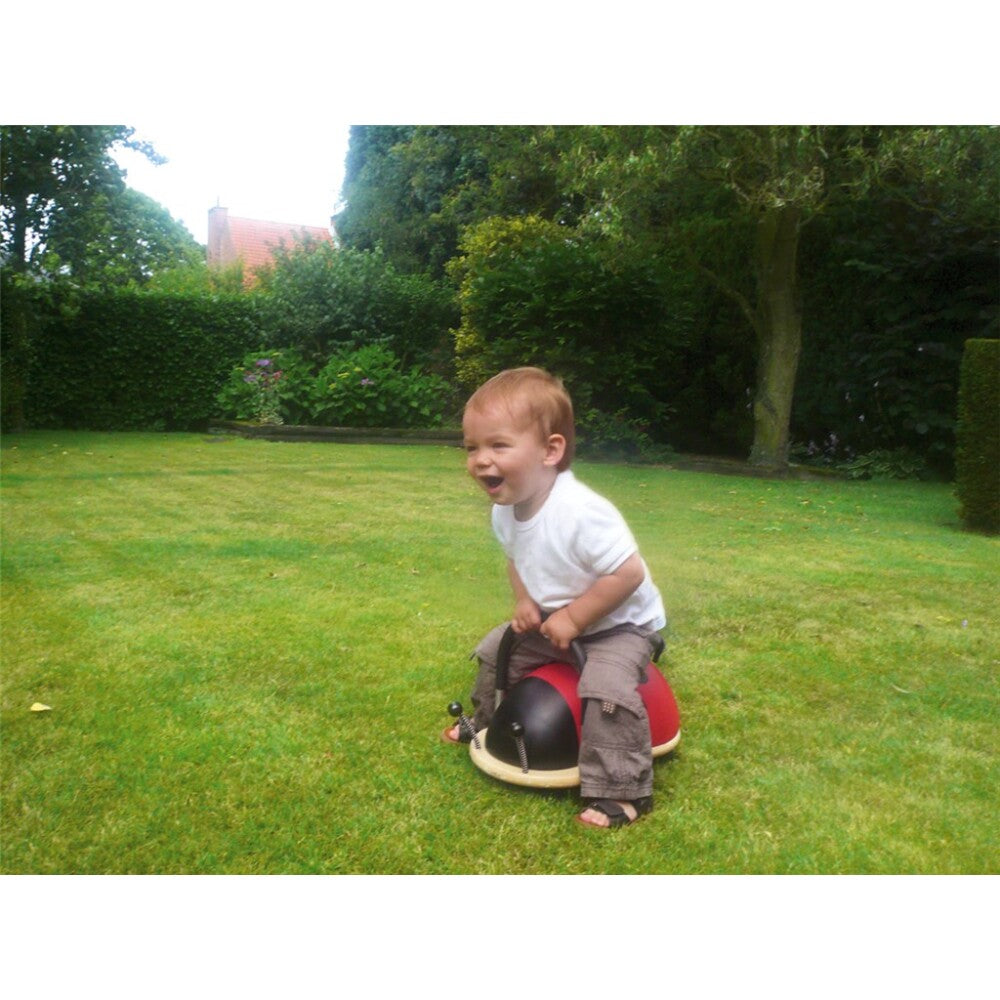 Buy Wheely Bug - Ladybug online at DAM Toys USA – Dam Toys B2C